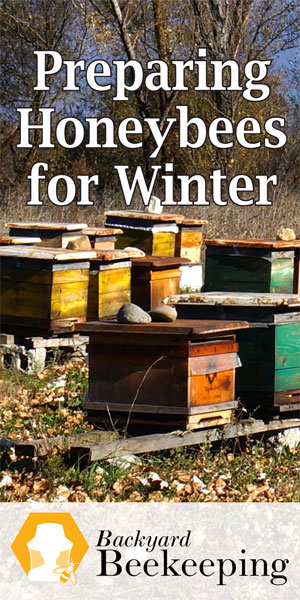 Preparing Honey Bees for Winter - Backyard Beekeeping